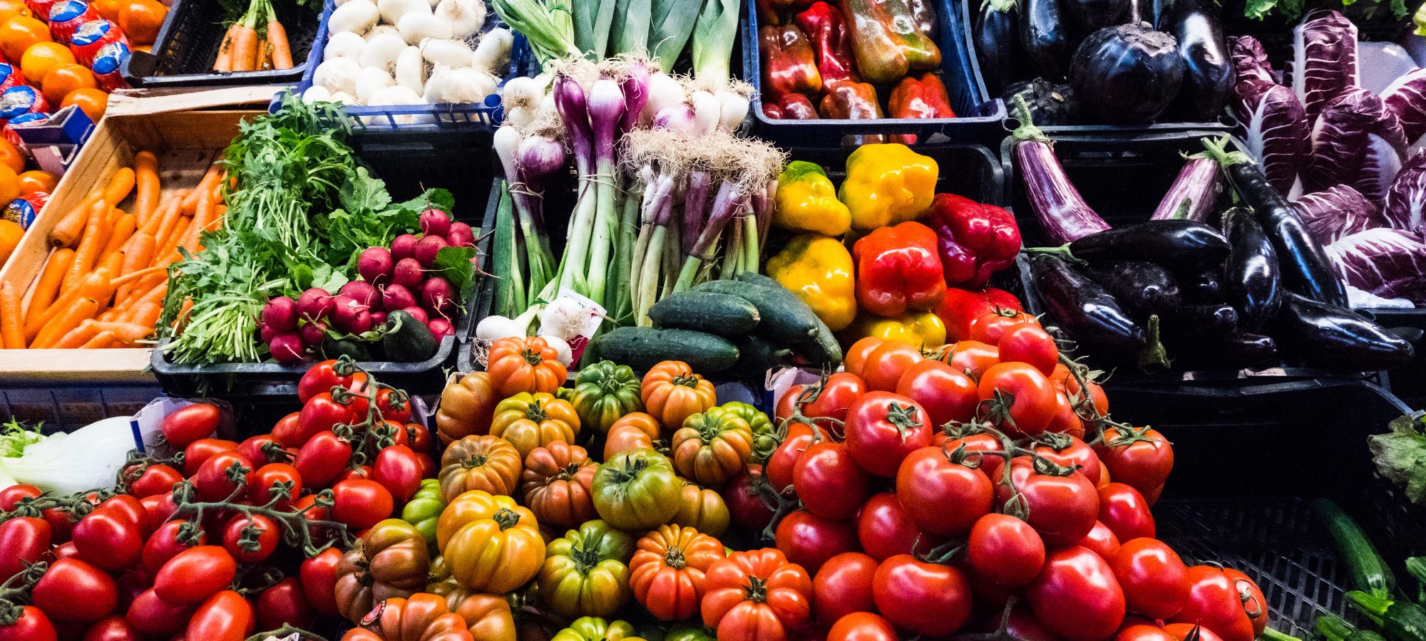Farmers' Markets & Farms | Michigan's Thumbcoast
